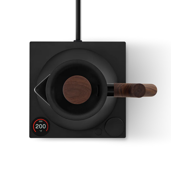 Corvo EKG Pro Electric Kettle - W/GOOD CO.